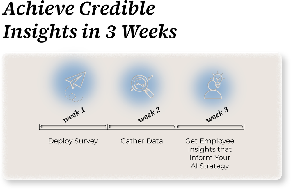 The insights we provide can inform your: